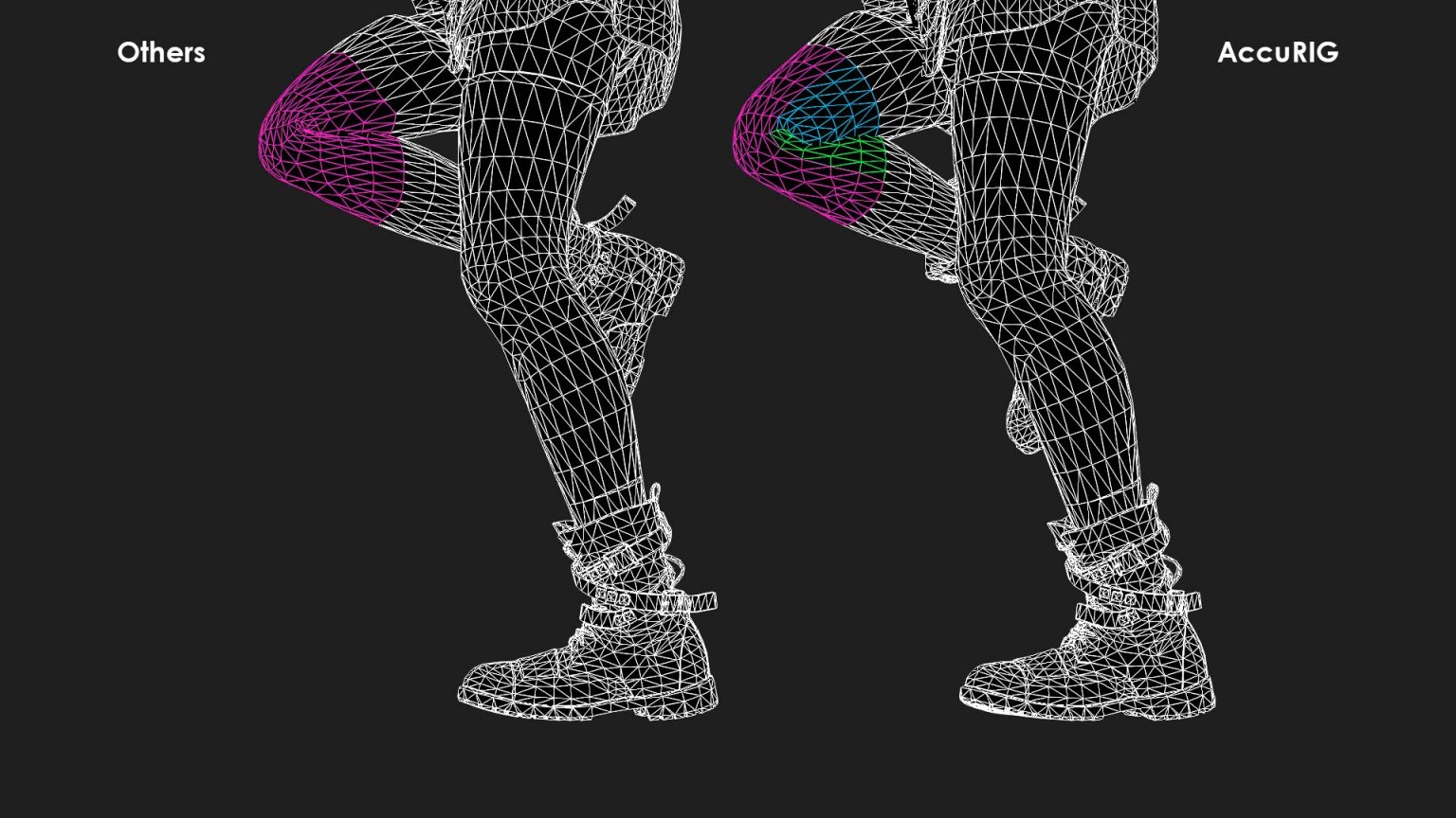 Reallusion Releases AccuRIG, The Next-Generation Automatic Character ...