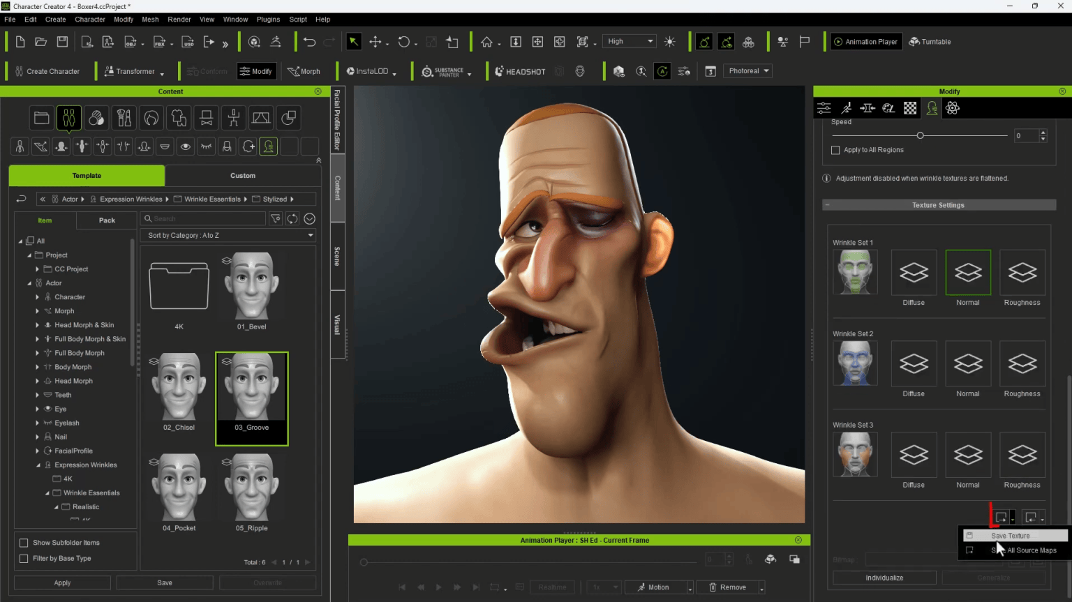 Generating Distinctive and Dynamic Wrinkles for Toon Characters ...