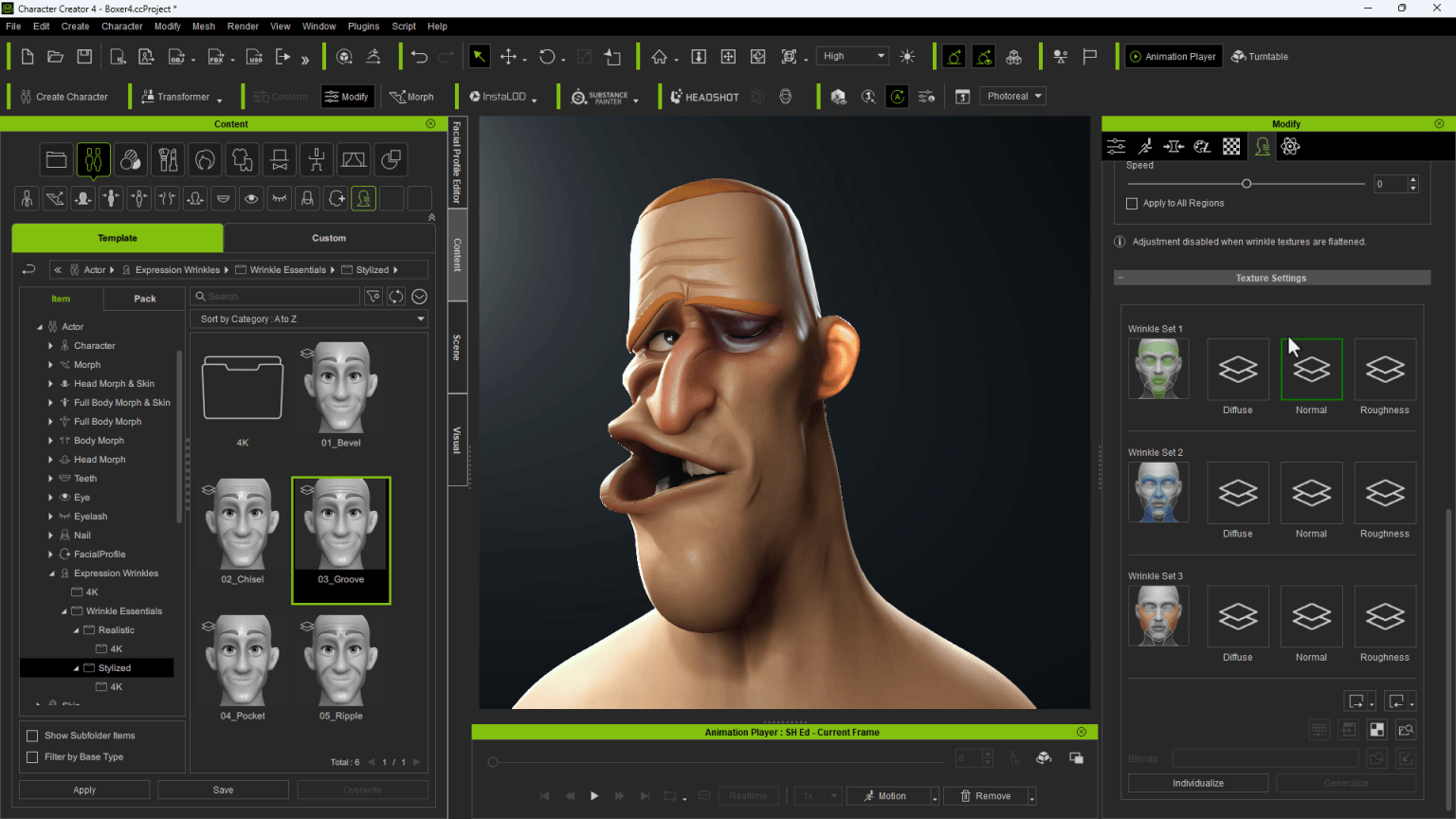 Generating Distinctive and Dynamic Wrinkles for Toon Characters ...