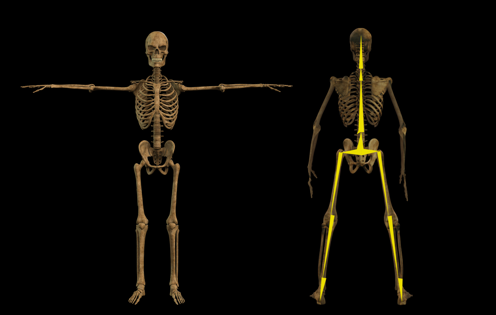 BAD TO THE BONE Tutorial - Making 2D and 3D dance together with Cartoon ...