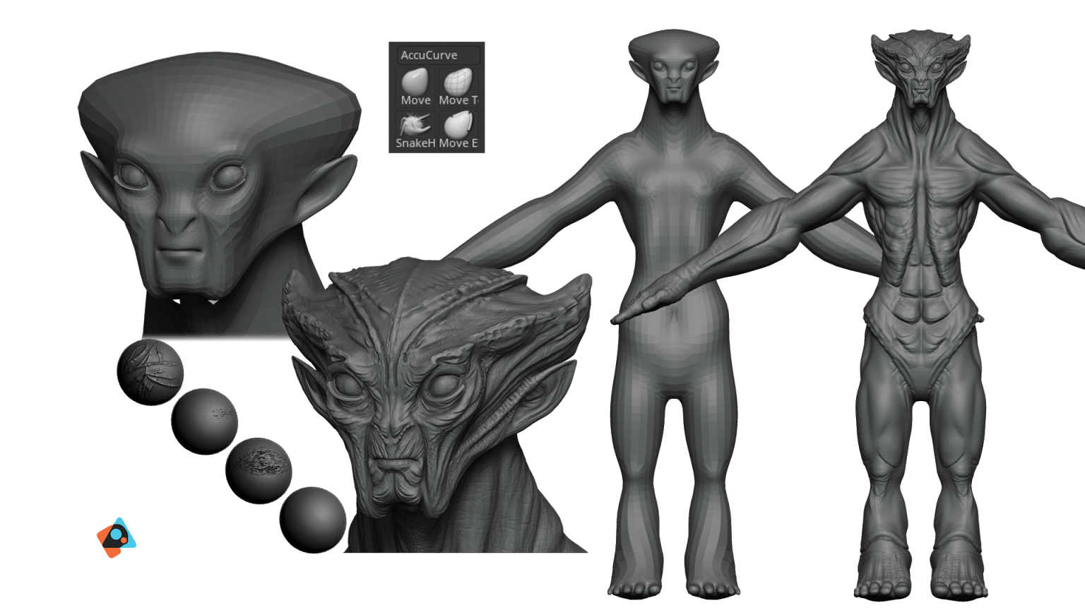 From Concept to Motion-Ready Alien Character: ZBrush and CC5 HD Step-by ...