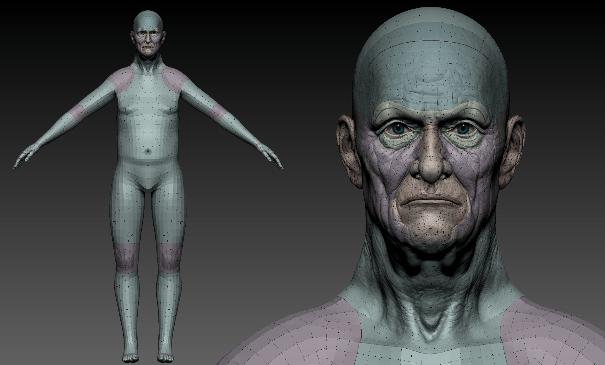 Think Tank Artists Redefine Character Creation with Character Creator 5 ...